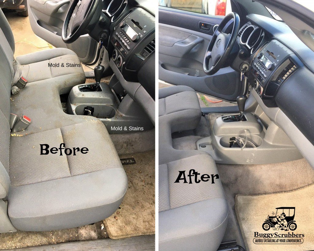 Car Mold Removal - Buggy Scrubbers Mobile Detailing